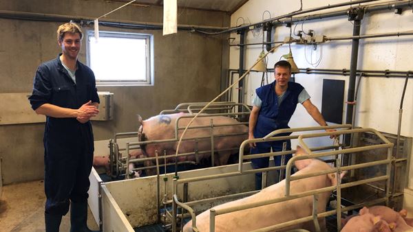 Samen werken aan een betere big