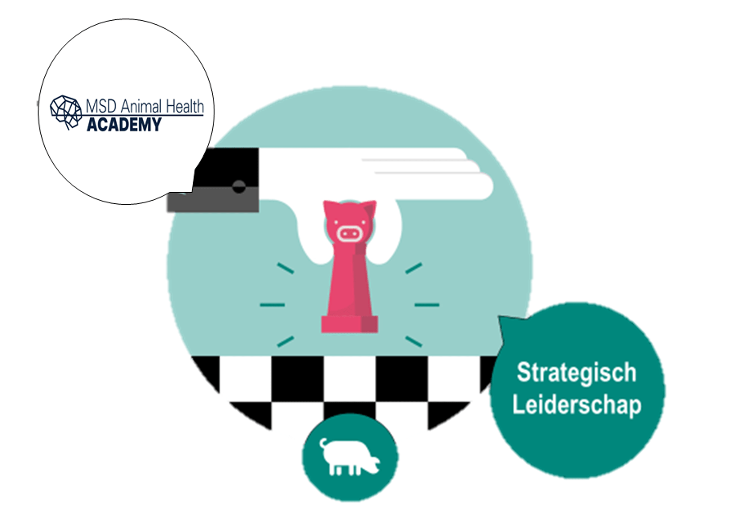 Studiereeks Strategisch Leiderschap MSD Animal Health Nederland