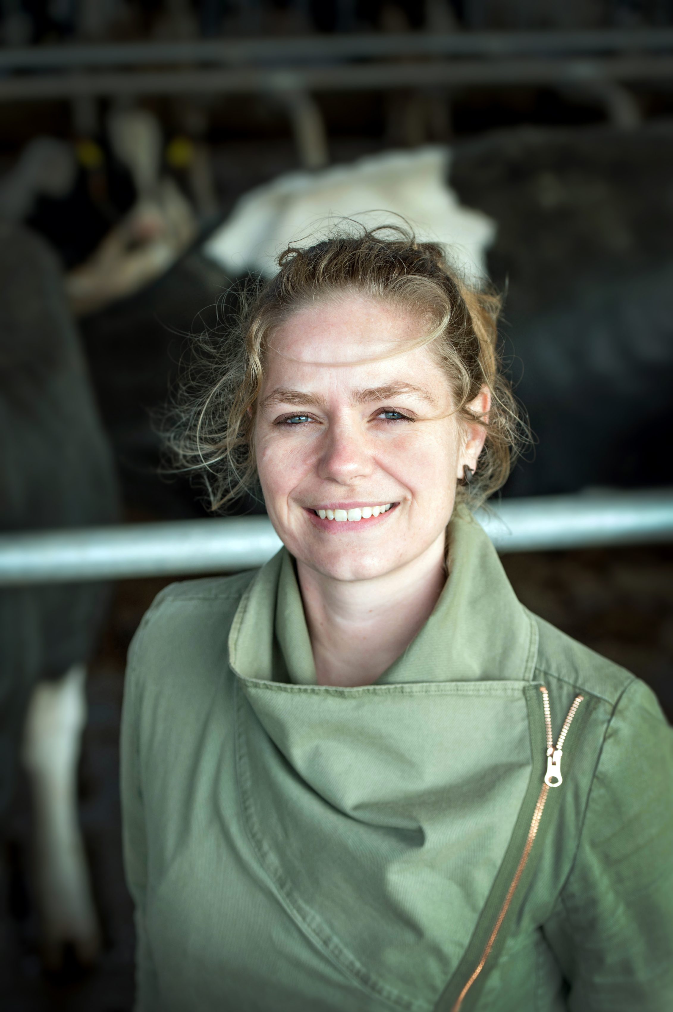 Masterplan| MSD Animal Health