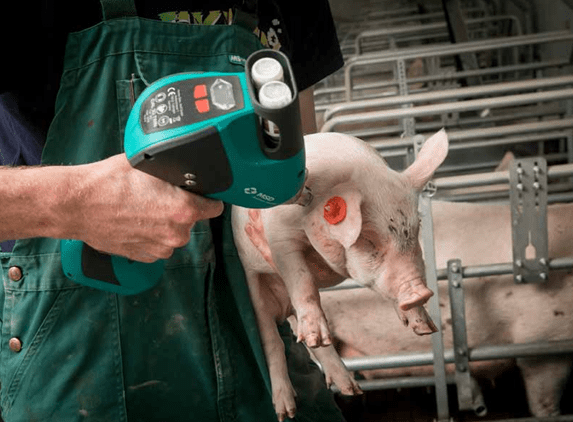 MSD Animal Health Academy - Educatieplatform voor dierenartsen en ...