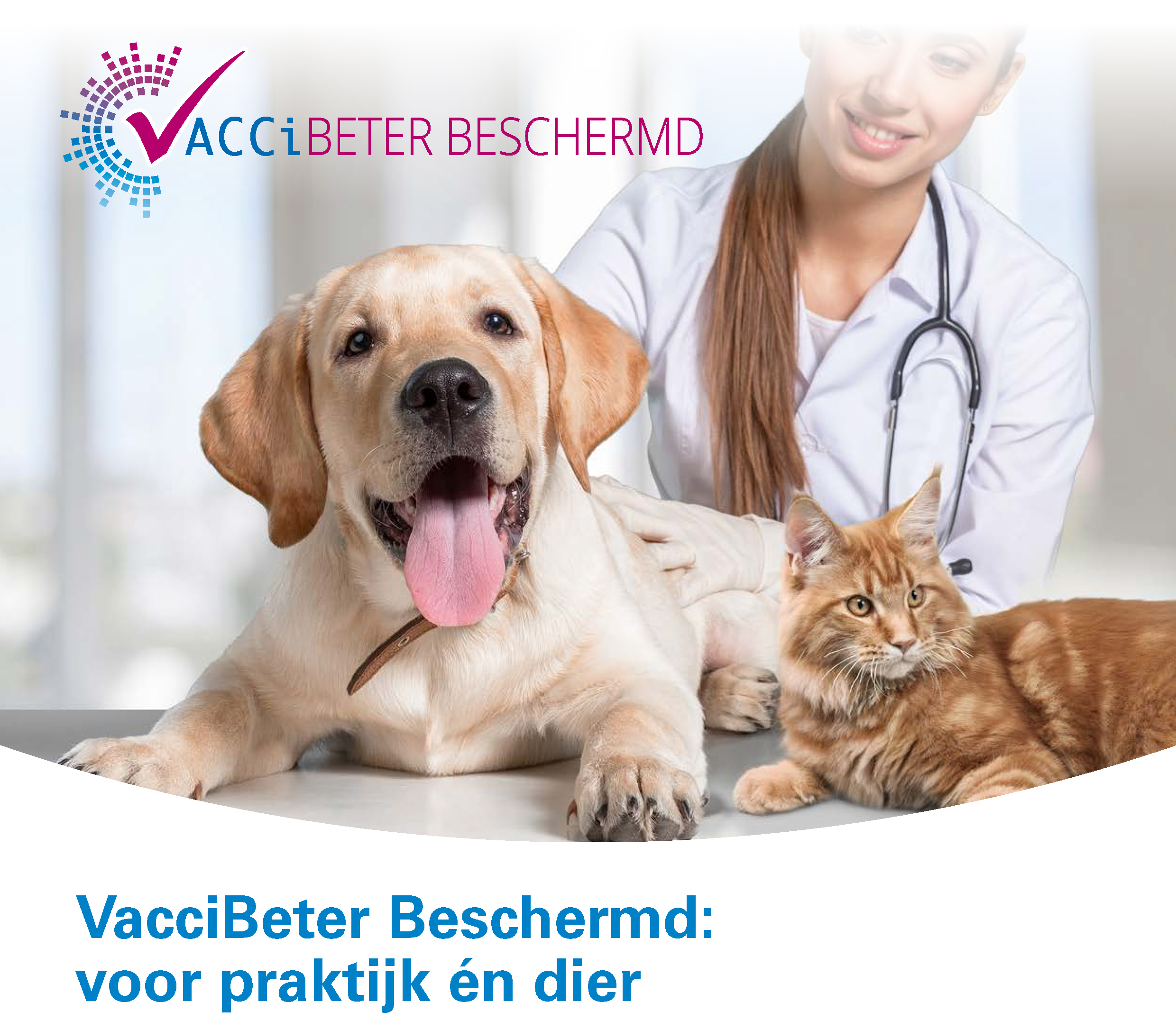 Totaalaanpak training verhogen van de vaccinatiegraag in de praktijk ...